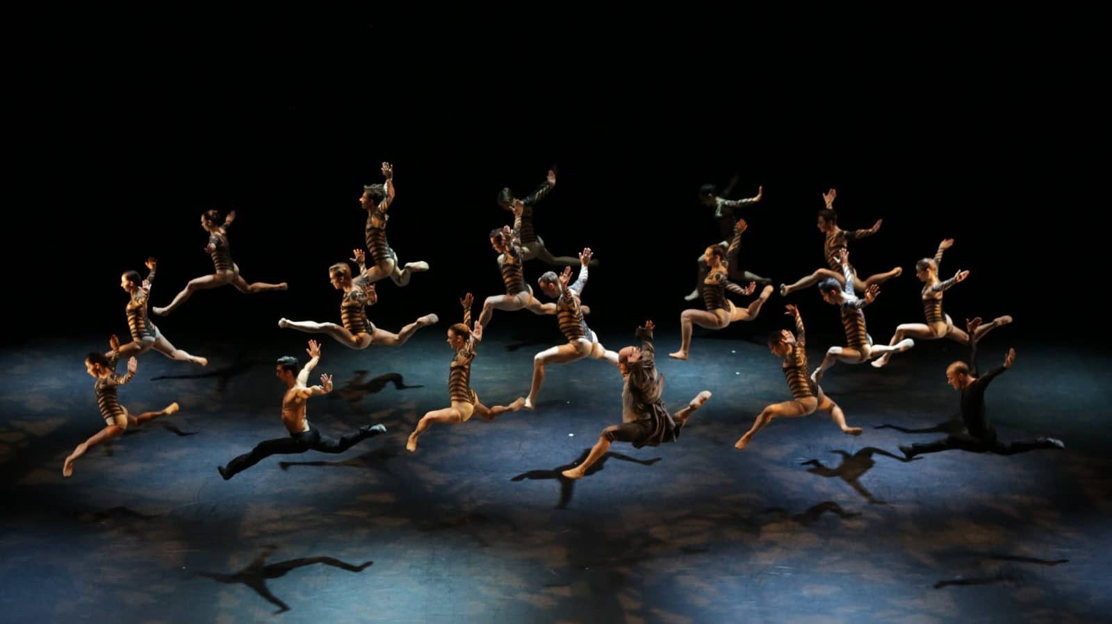 Neodigital nominé au Fedora Platform 2020- ballet malandain ...